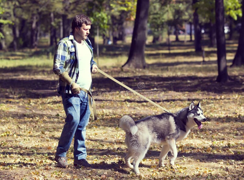 Young Man and the Siberian Husk Stock Photo - Image of head, husk: 61901526