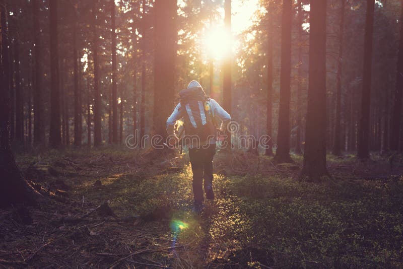 Young Man in Silent Forrest with Sunlight Stock Photo - Image of lonely ...