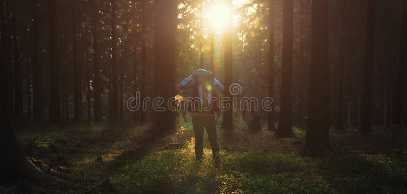 Young Man in Silent Forrest with Sunlight Stock Photo - Image of lonely ...