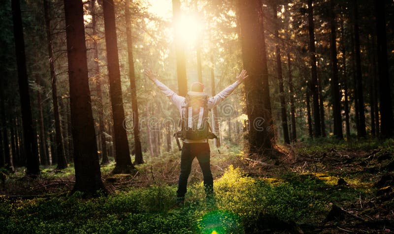 Young Man in Silent Forrest with Sunlight Stock Photo - Image of lonely ...
