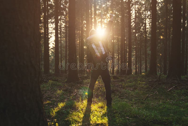 Young Man in Silent Forrest with Sunlight Stock Photo - Image of lonely ...