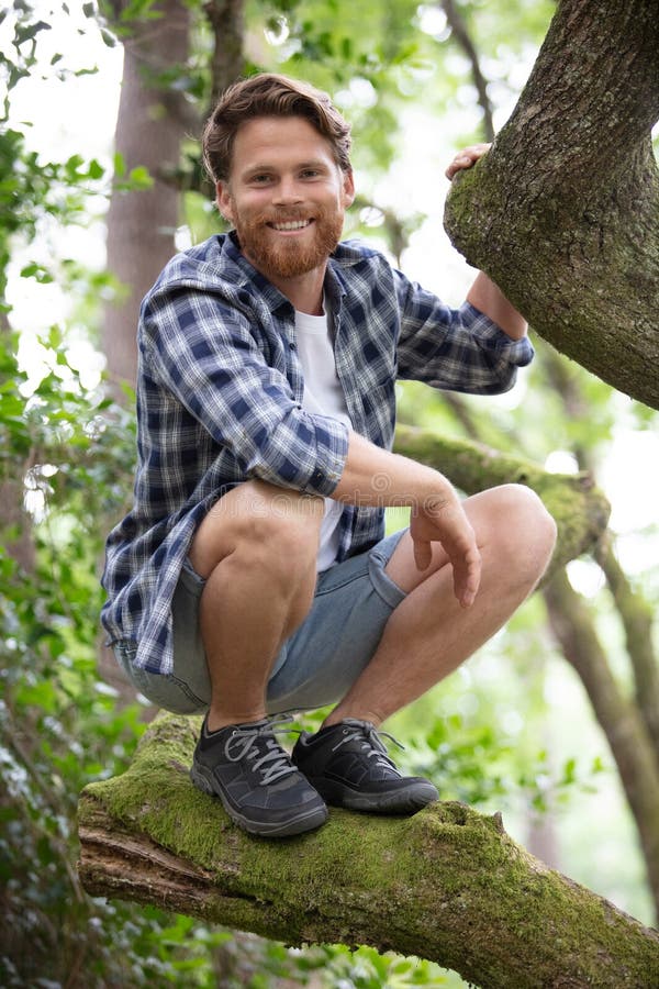 Young Man Sitting on Tree Branch Stock Photo - Image of handsome ...