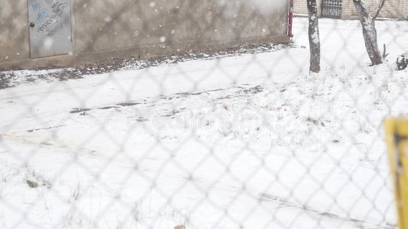 Young Man slipping on ice stock footage. Video of ranch - 109294912