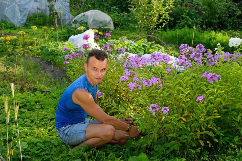 Man Planting Trees Video Stock Photos - Free & Royalty-Free Stock ...