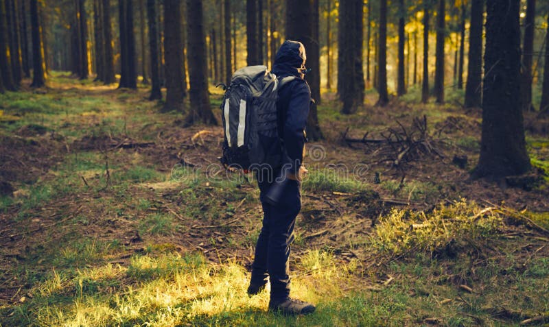 Young Man in Silent Forrest with Sunlight Stock Image - Image of ...