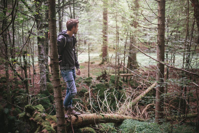 Young Man Standing in the Forest Stock Photo - Image of looking ...