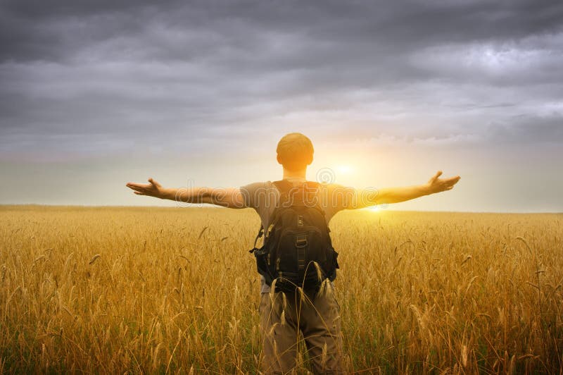 Young Man Standing on a Wheat Field Stock Photo - Image of flower ...