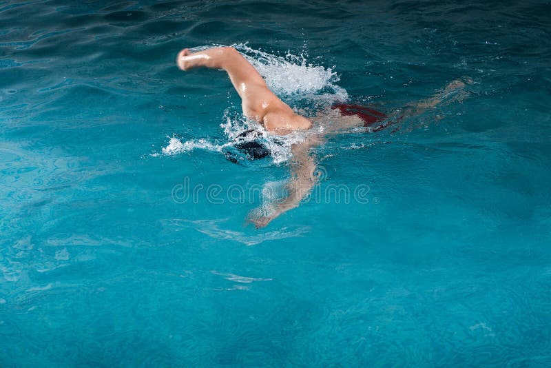 Swimmer Performing Front Crawl Freestyle Stroke Indoor Pool Stock ...