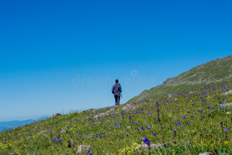 Young Man Taking an Excursion Stock Image - Image of sand, road: 80105047