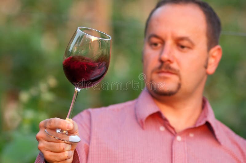 Young Man is Tasting Red Wine Stock Photo - Image of landscape ...