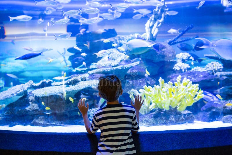 Young Man Touching Algae Tank Stock Photos - Free & Royalty-Free Stock ...