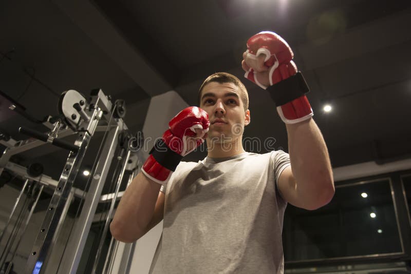 Young Man Training Boxing in the Gym Stock Image - Image of male ...