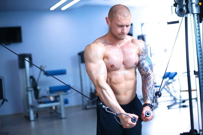Young Man Training at Gym with Exercises Stock Image - Image of ...