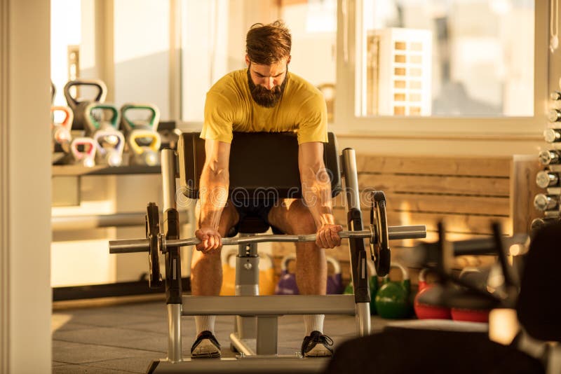 Young Man Training in a Gym Stock Image - Image of caucasian, fitness ...