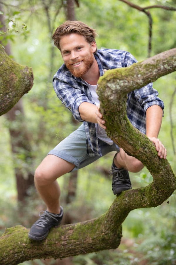 Young man up on tree stock photo. Image of lookingup - 221050026