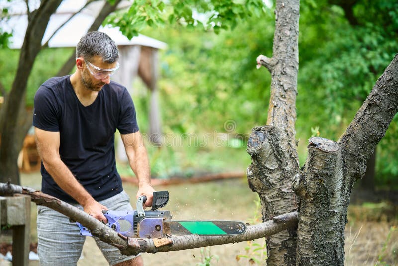 Young Man Using Chainsaw for Cutting Tree Branches at His Backyard ...