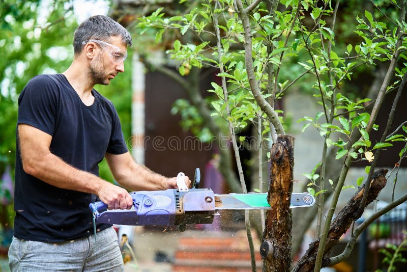 Young Man Using Chainsaw for Cutting Tree Branches at His Backyard ...