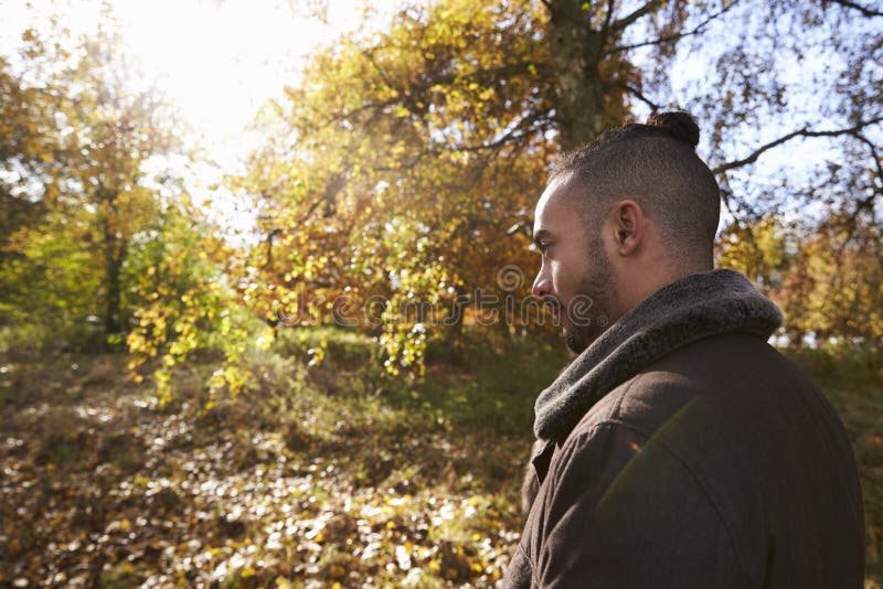 Young Man Walking in Autumn Woodland Stock Photo - Image of american ...