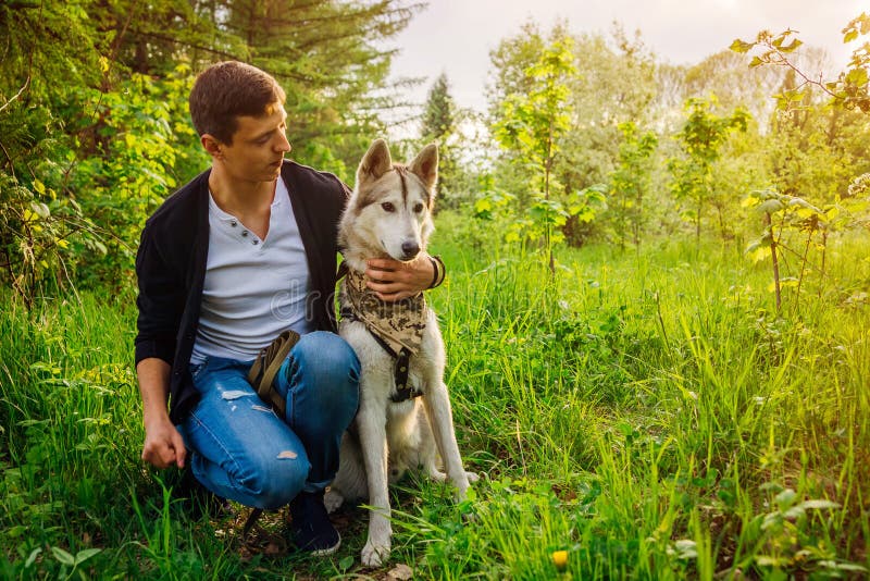 A Young Man Walking a Dog in the Park Stock Image - Image of adult ...