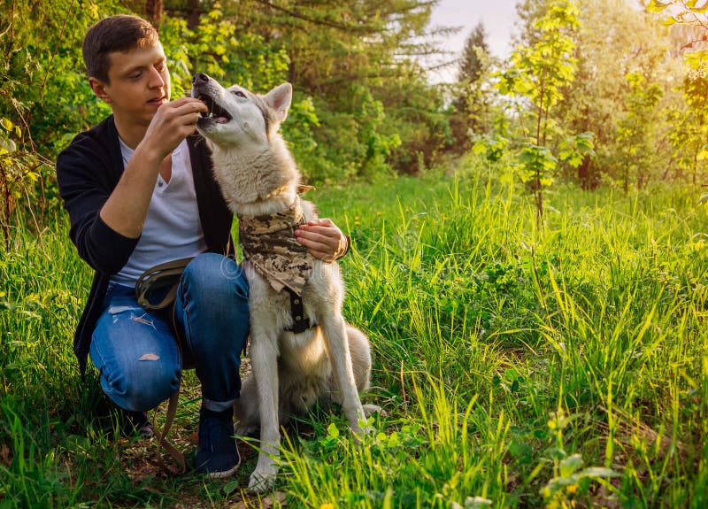 A Young Man Walking a Dog in the Park Stock Photo - Image of outside ...
