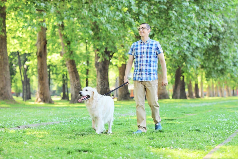 Young Man Walking His Dog in a Park Stock Image - Image of outside ...