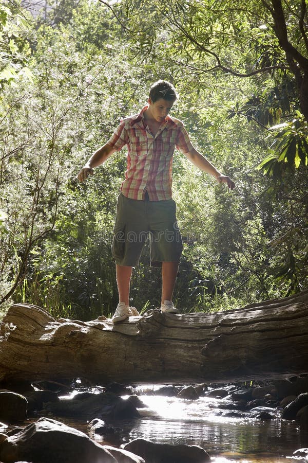 Walk in the woods stock image. Image of tree, meditates - 2112569