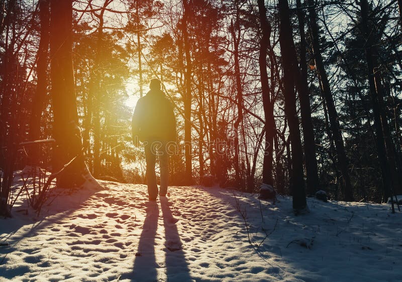 Young Man Walking in Winter Forest Path from Back at Sunset. Czech ...