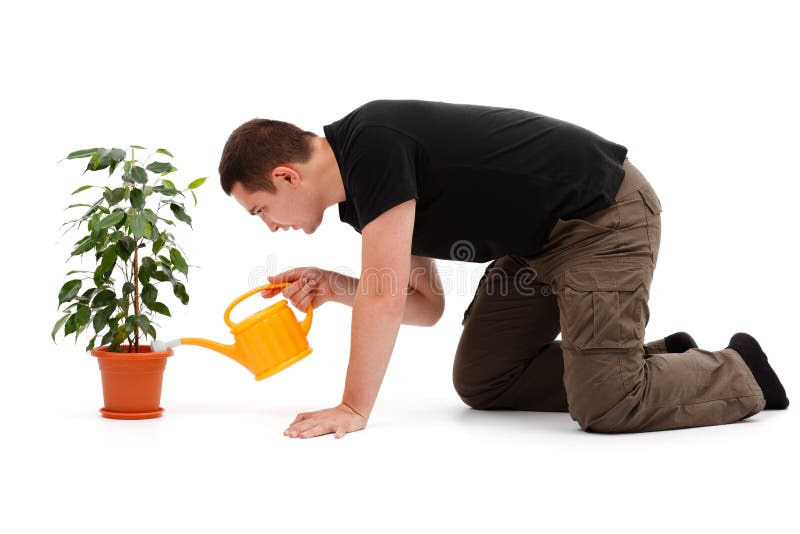 Young man watering flower stock photo. Image of sprinkling - 17280528