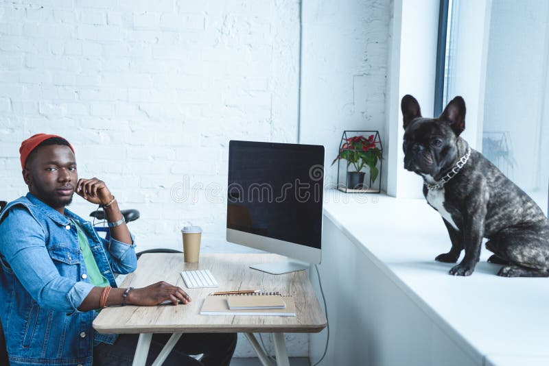 Young Man Working by Computer while Frenchie Dog Sitting Stock Image ...