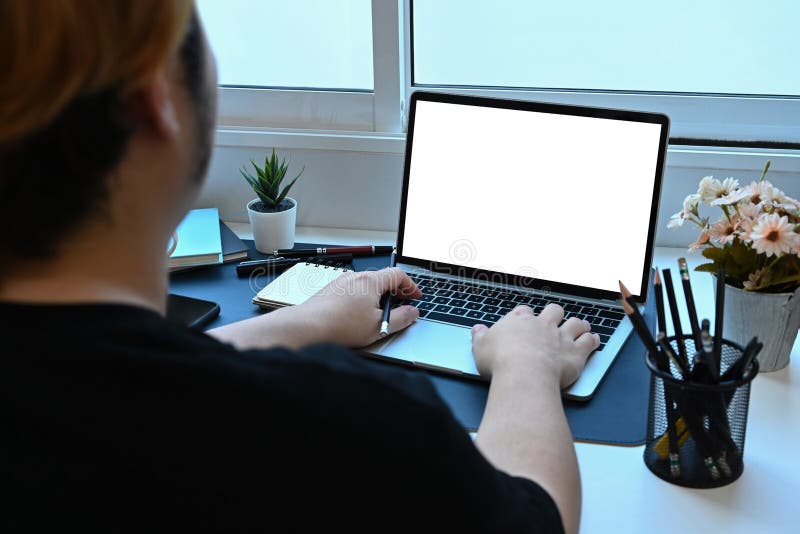 145 Back View Business Man Working Desktop Computer Modern Office Stock ...