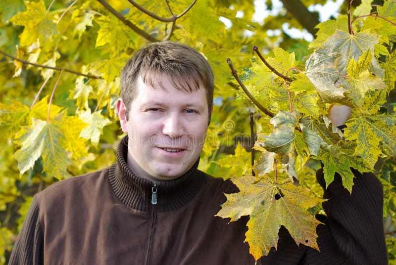 Young Man with Yellow Maple Leaves Autumn Stock Image - Image of white ...