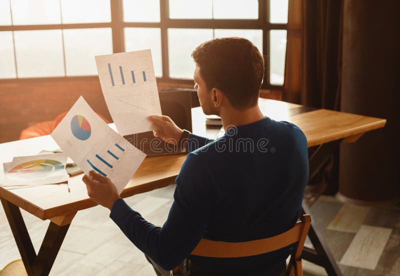 Young Manager Looking through Documents Working in Office, Back View ...