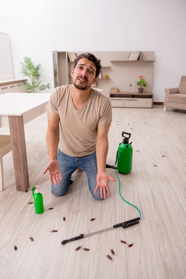 Young Man Exterminating Cockroaches at Home Stock Image - Image of ...