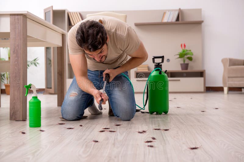 Young Man Exterminating Cockroaches at Home Stock Photo - Image of ...