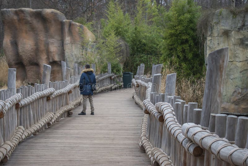 Young men looking away stock photo. Image of silhouette - 150934426