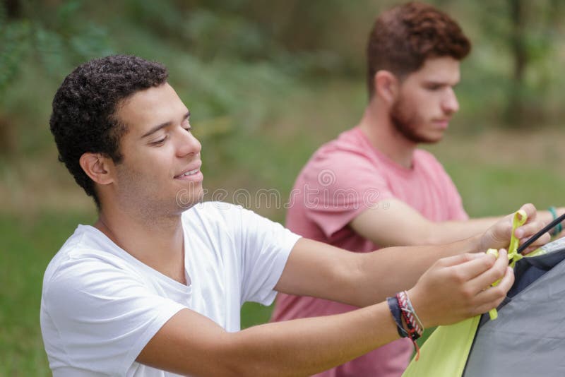 Young men pitching up tent stock photo. Image of young - 259959548
