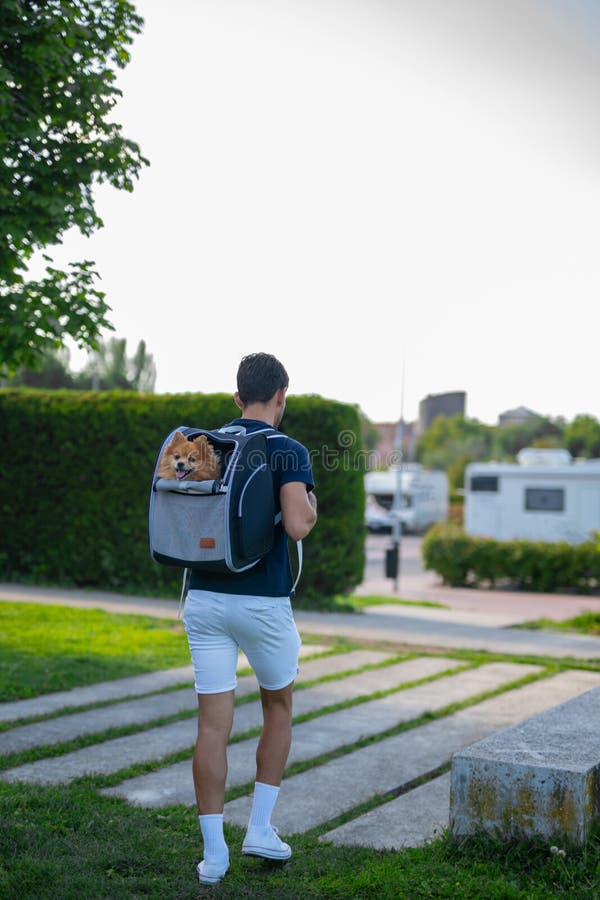 Young Men Walking with a Pet Carrier Bag Pack Outdoors in Nature Stock ...