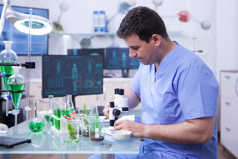 Young Microbiologist Works with Bacterial Cultures in the Lab Stock ...
