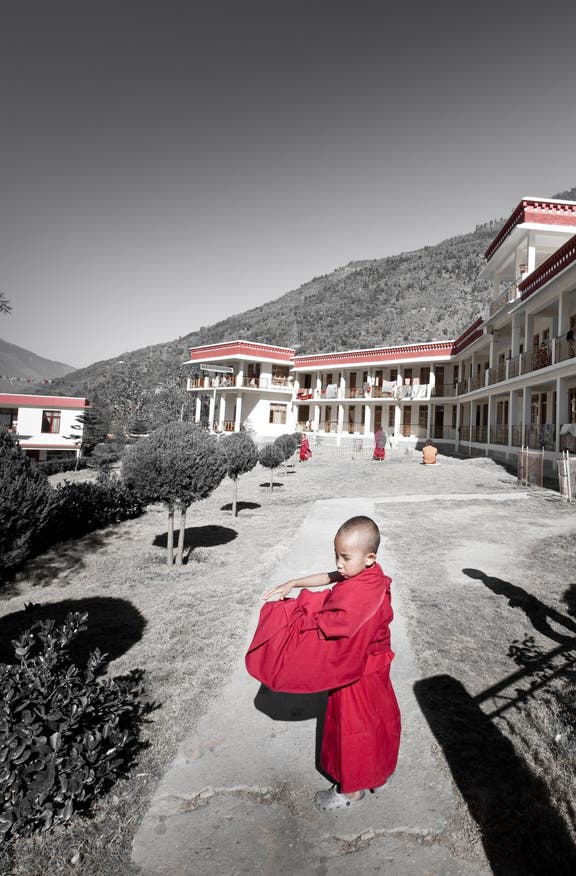 The young monk editorial stock photo. Image of monk, religion - 19531608
