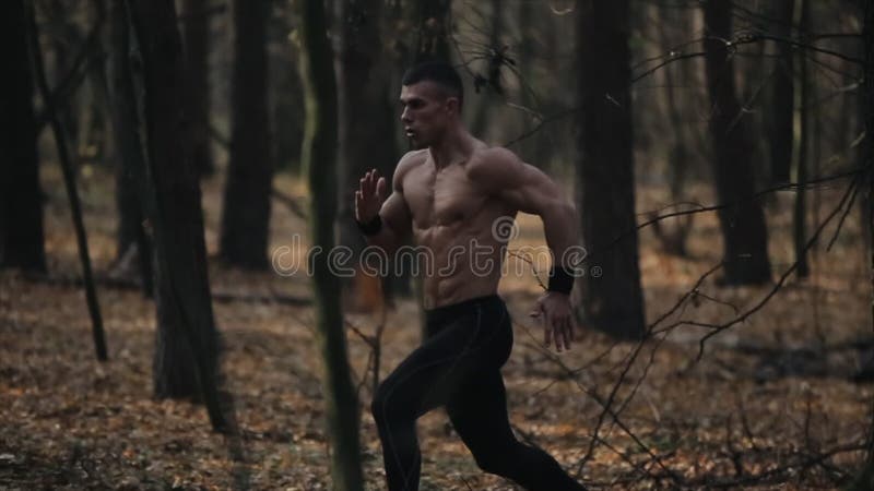 Young Muscular Runner Runs in the Forest. Running between the Trees ...
