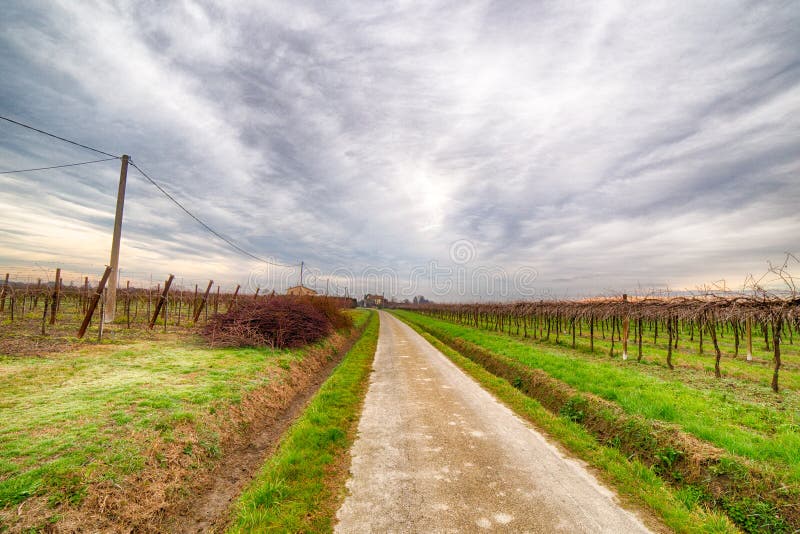 Young new crops in winter stock image. Image of fields - 67437309