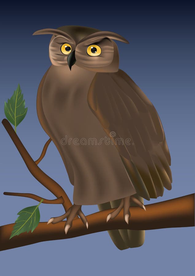 Young owl on a tree stock vector. Illustration of brown - 12649146
