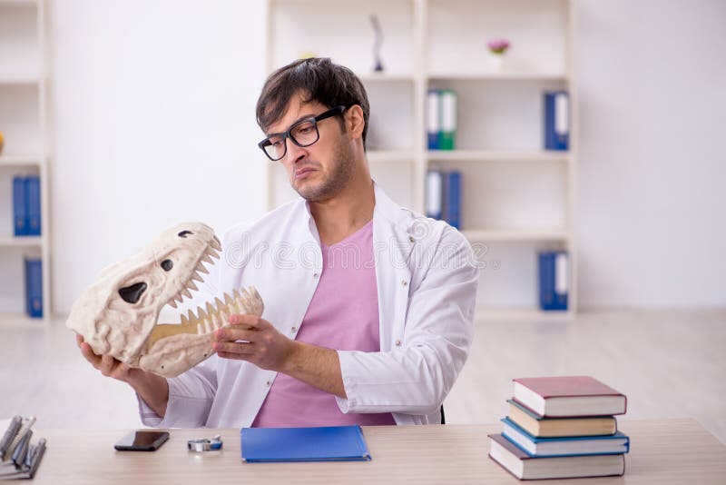 Young Male Paleontologist Examining Ancient Animals at Lab Stock Photo ...