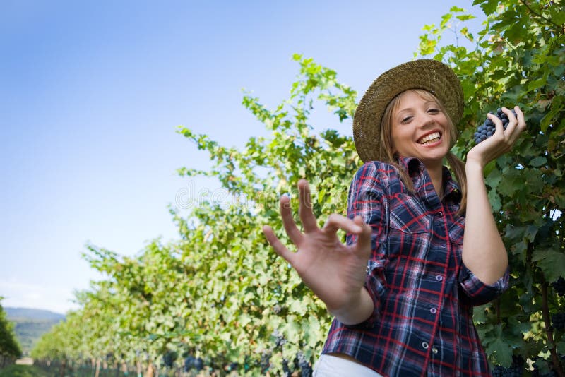 Young Peasant Woman Grape Sign Ok with Hand Stock Image - Image of ...