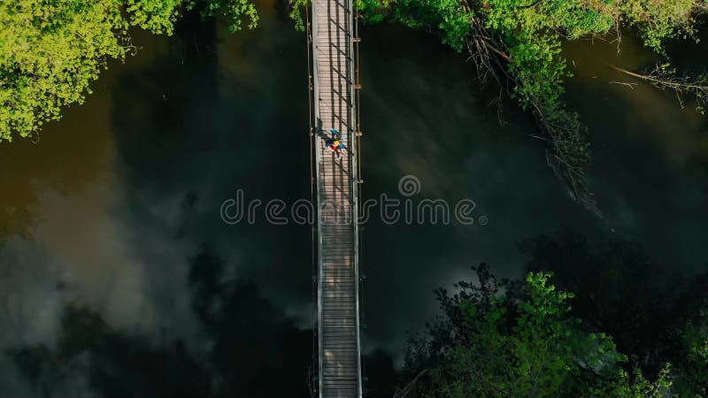 Young Person Walking on the Rope Bridge in the Forest Stock Photo ...