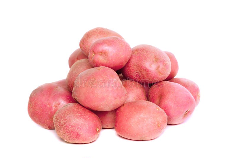 Young Pink Potato. Isolated Stock Image - Image of bunch, harvest: 23065025