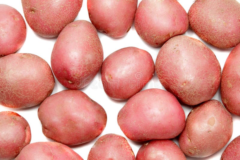 Young Pink Potato. Isolated Stock Photo - Image of nutrition, amyloid ...