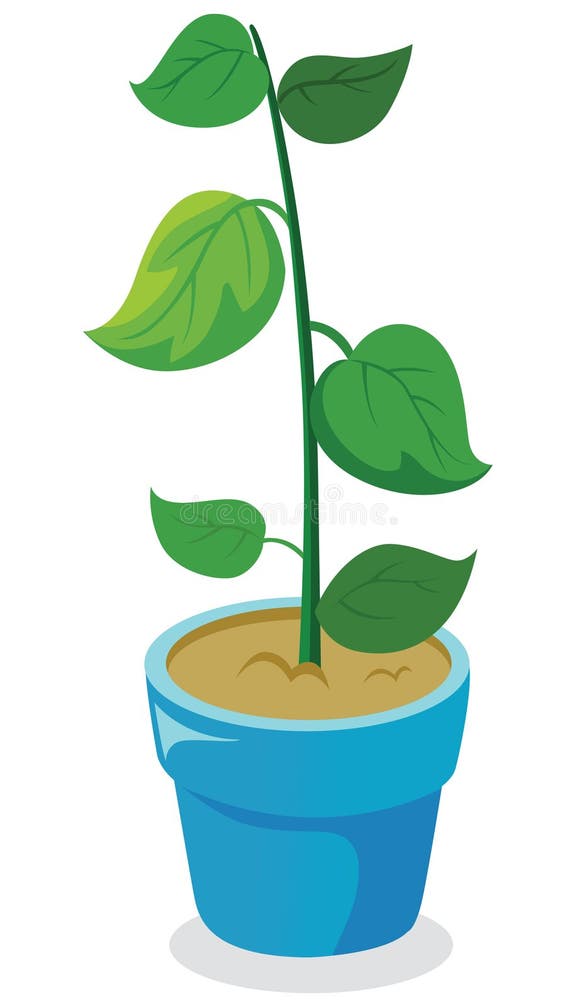 Plant Young Tree Stock Illustrations – 60,407 Plant Young Tree Stock ...