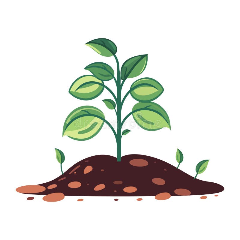 Young Plant Growing Out of the Ground. Plant Growing from Soil Stock Vector - Illustration of ...