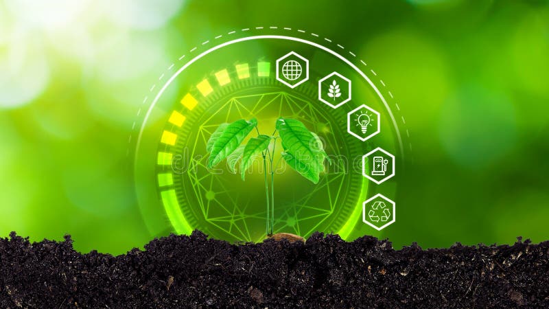 Young Plant Seedling Growing at Sunlight, Environmental and Ecology ...